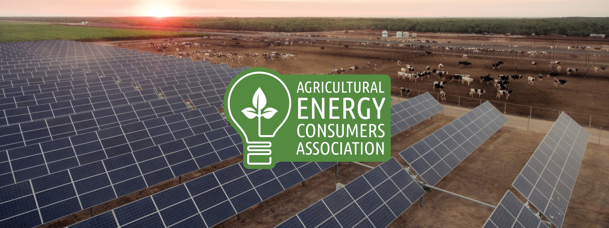 Agricultural Energy Consumers Association